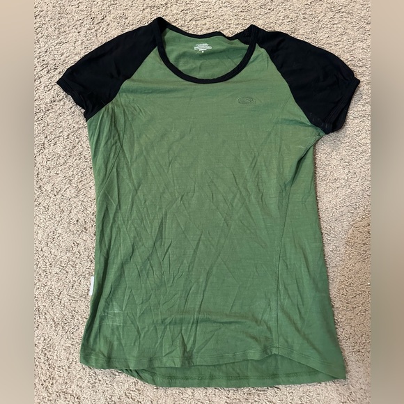 Icebreaker | Tops | Icebreaker Pure Merino Wool Tee | Poshmark